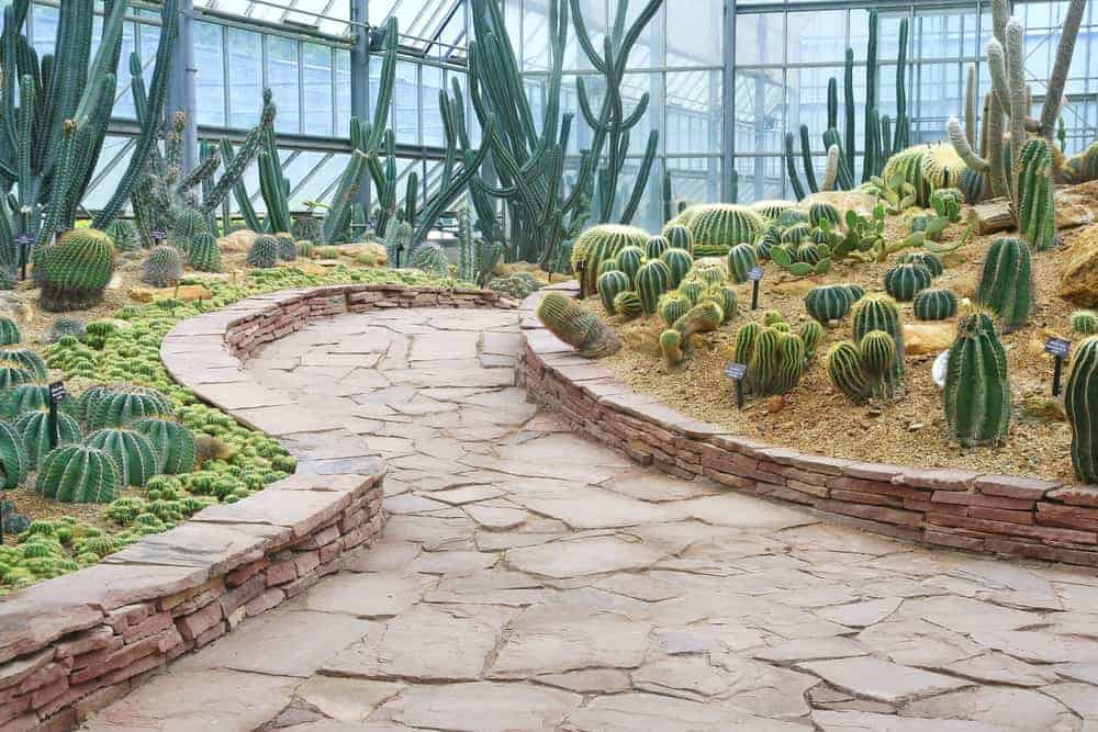 80 best desert landscaping ideas to make your home awesome - UpHomely