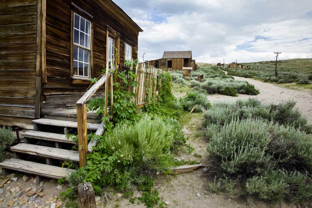 80 best desert landscaping ideas to make your home awesome