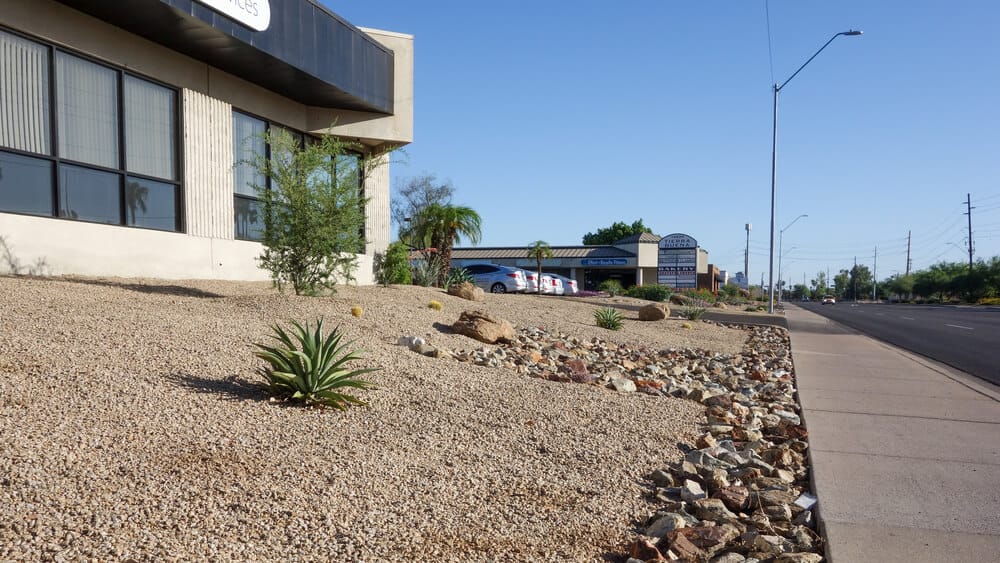 80 best desert landscaping ideas to make your home awesome