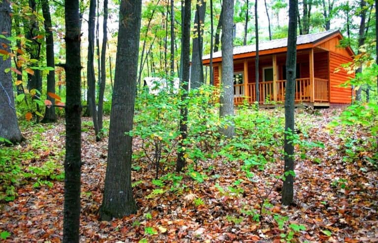 Types of Log Cabin s (with photos) - UpHomely